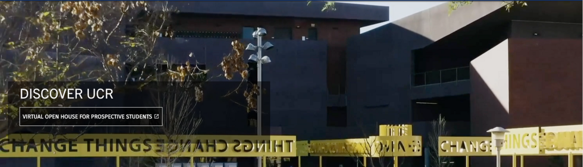 Custom Block: Header and Title | Websites