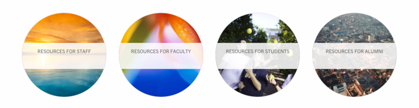 Bubble Grid | Websites